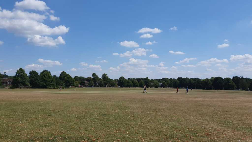 Lindfield CC v SCC – 29 July 2022 – Soho Cricket Collective